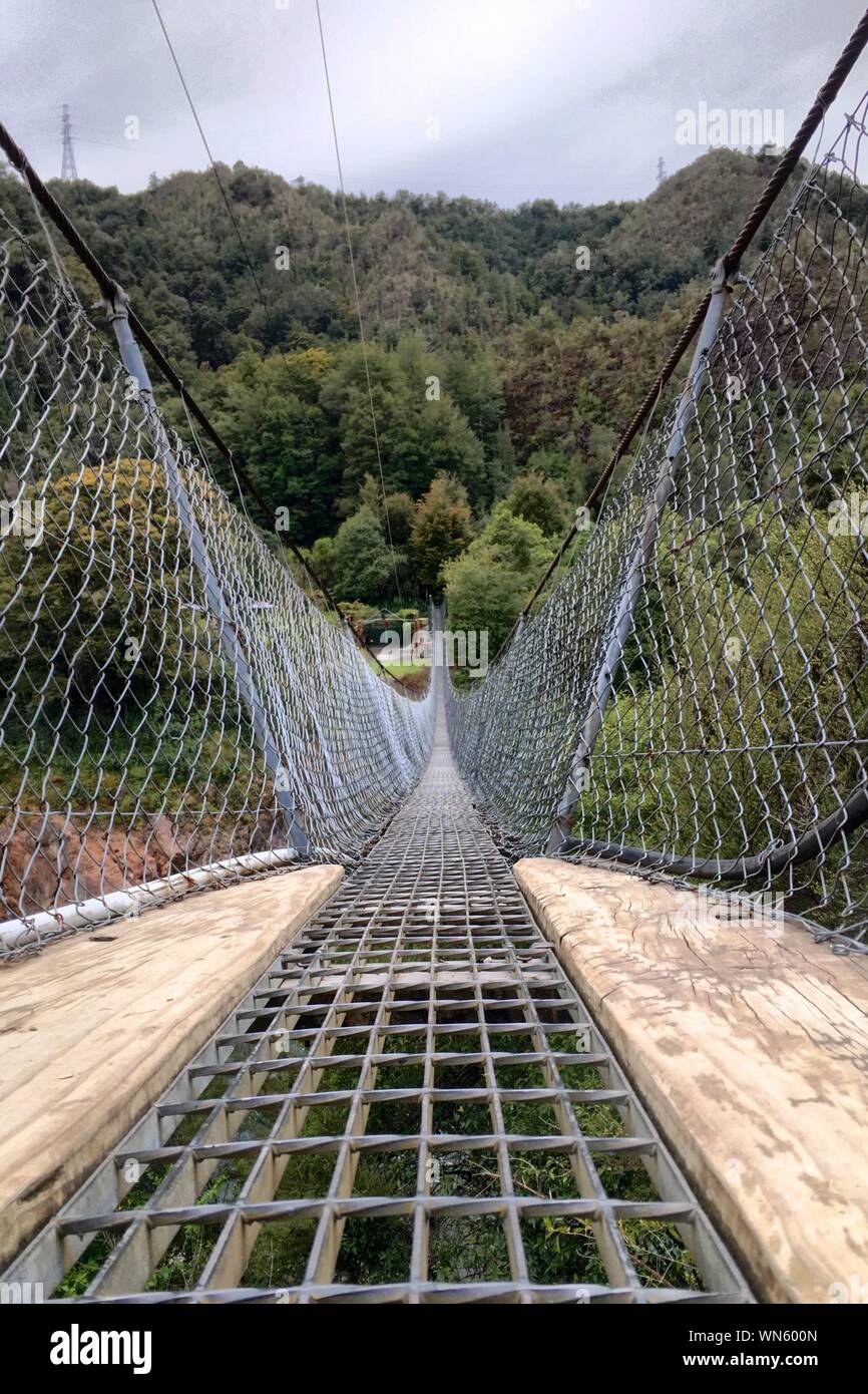 Forest rope bridge hi-res stock photography and images - Alamy