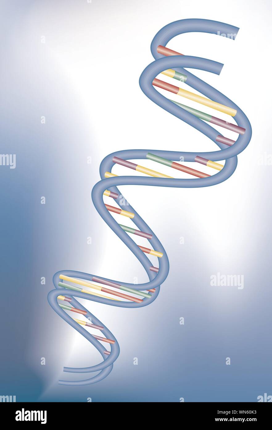 Genes strand Stock Vector Images - Alamy