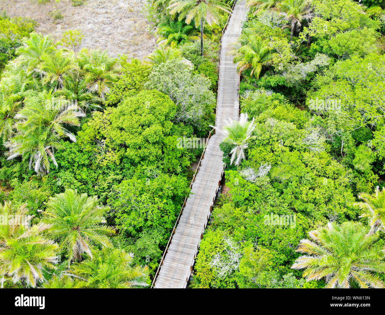 Aerial view of wooded bridge over the tropical forest. Wooden bridge ...