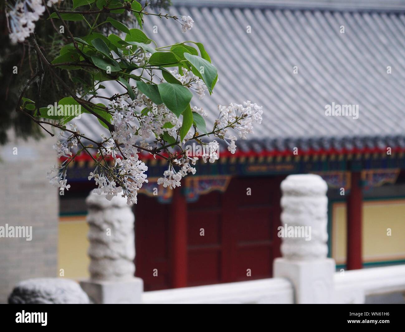 Traditional chinese building hi-res stock photography and images - Alamy