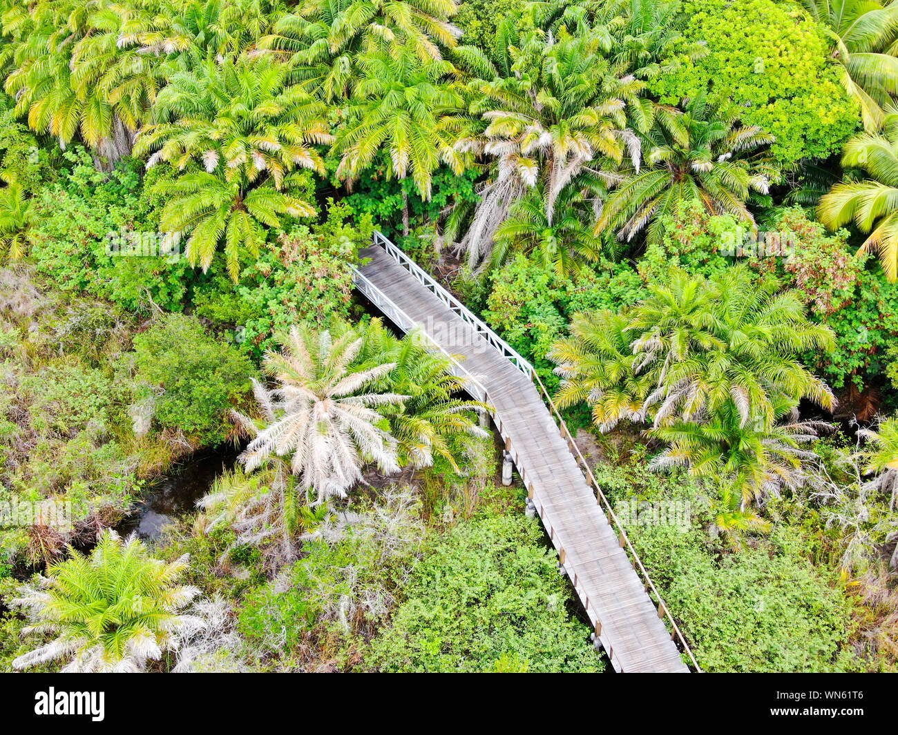 Aerial view of wooded bridge over the tropical forest. Wooden bridge ...
