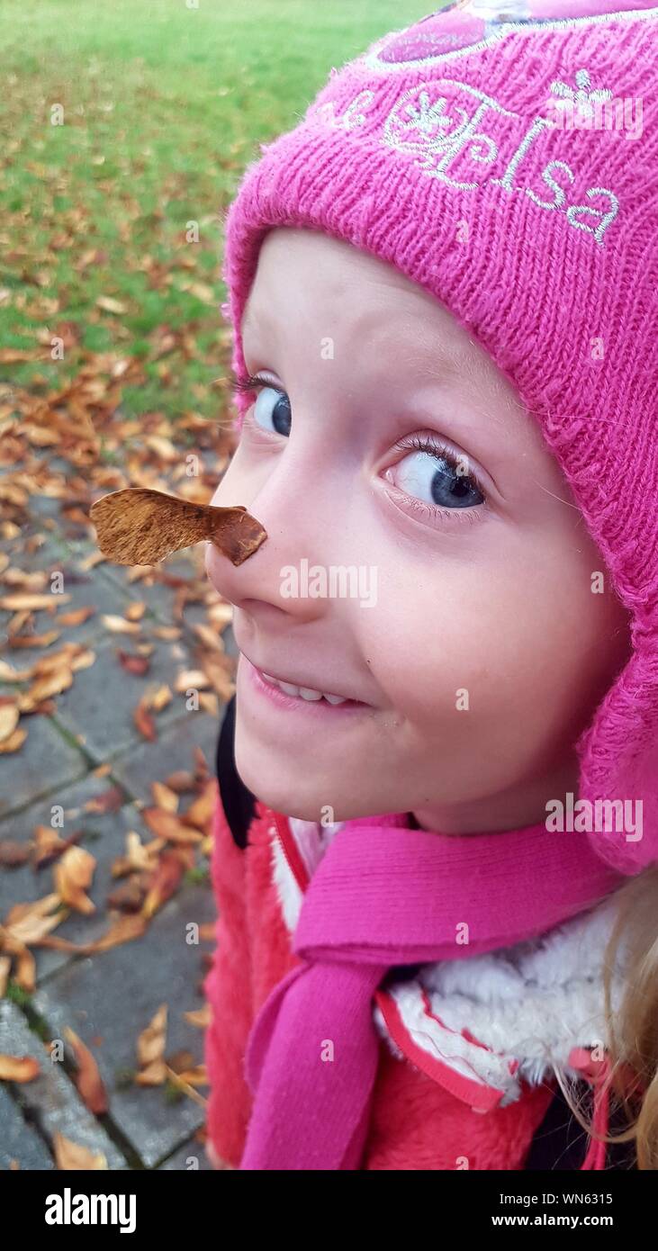 The leaf nose hi-res stock photography and images - Alamy