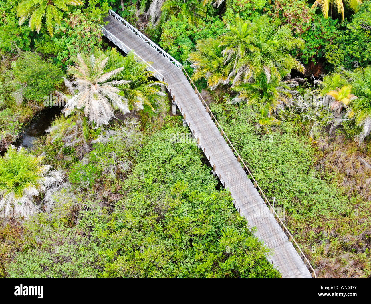 Wooden suspension pathway hi-res stock photography and images - Alamy