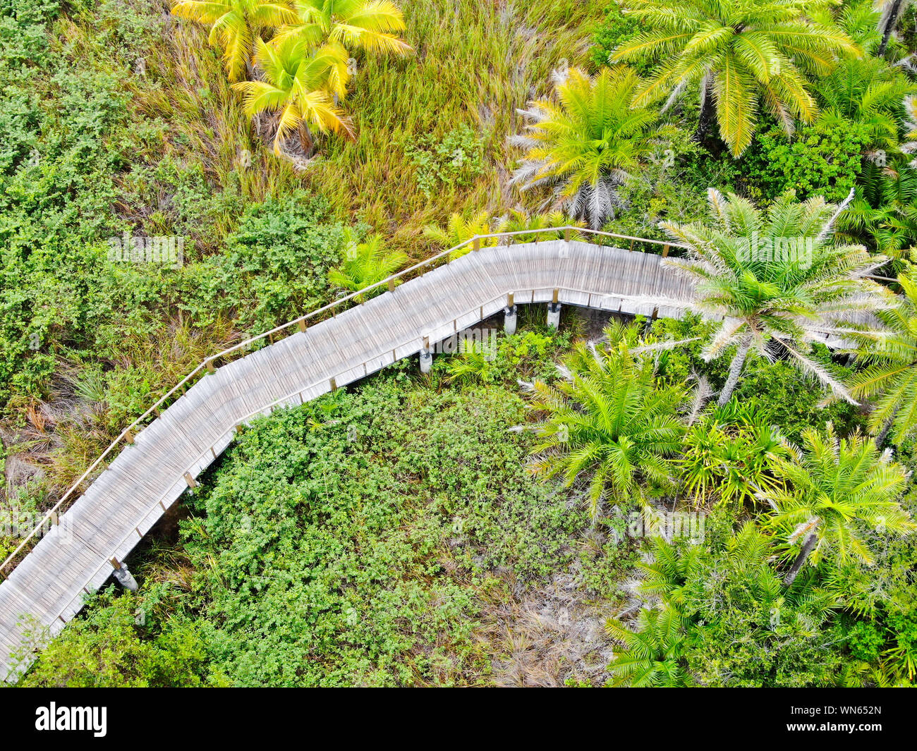 Aerial view of wooded bridge over the tropical forest. Wooden bridge ...