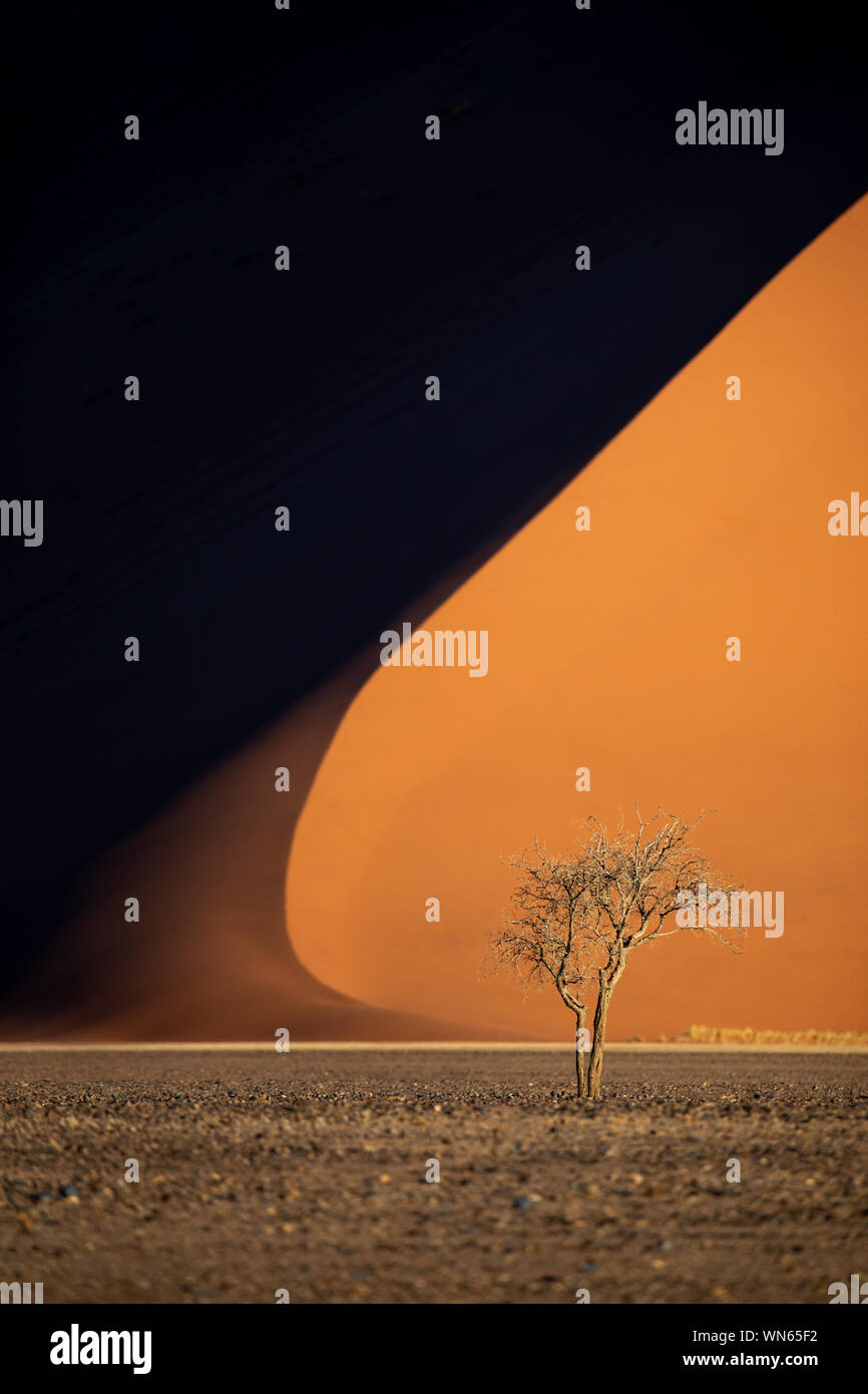 Deep Colors Stock Photos & Deep Colors Stock Images - Alamy