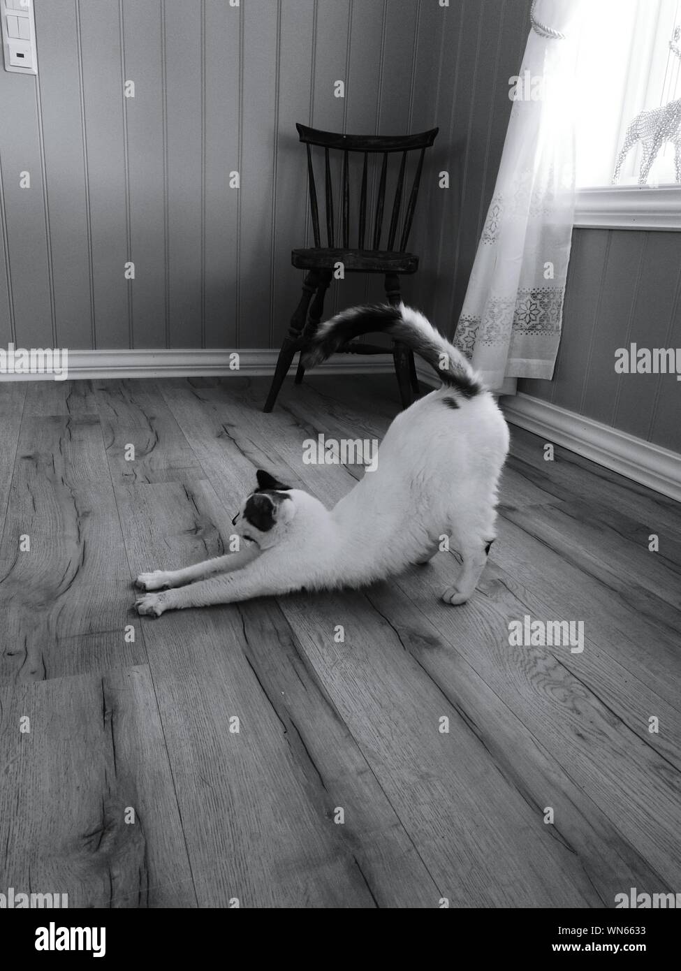 Stretching arch hi-res stock photography and images - Alamy