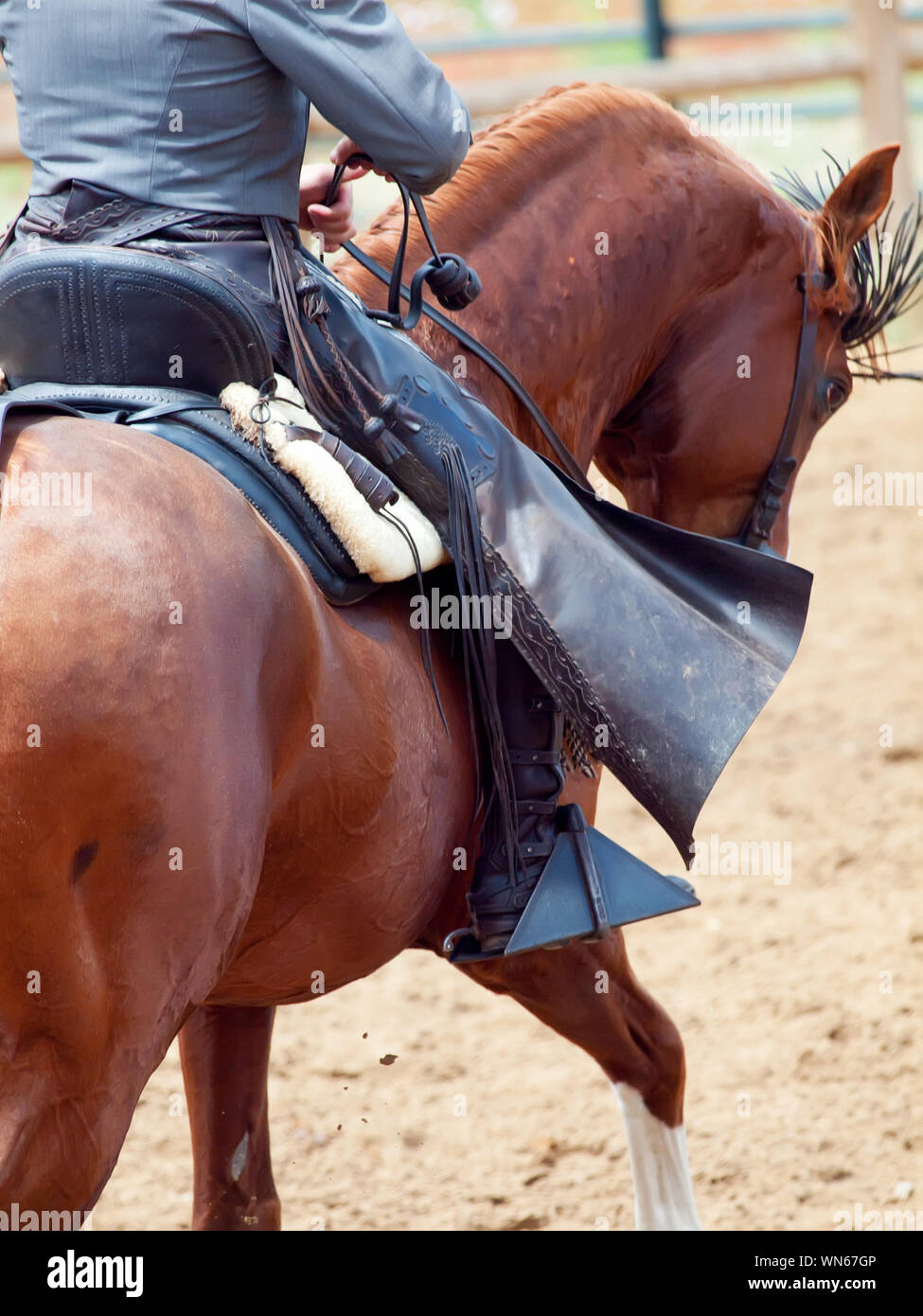 Part man part horse hi-res stock photography and images - Alamy