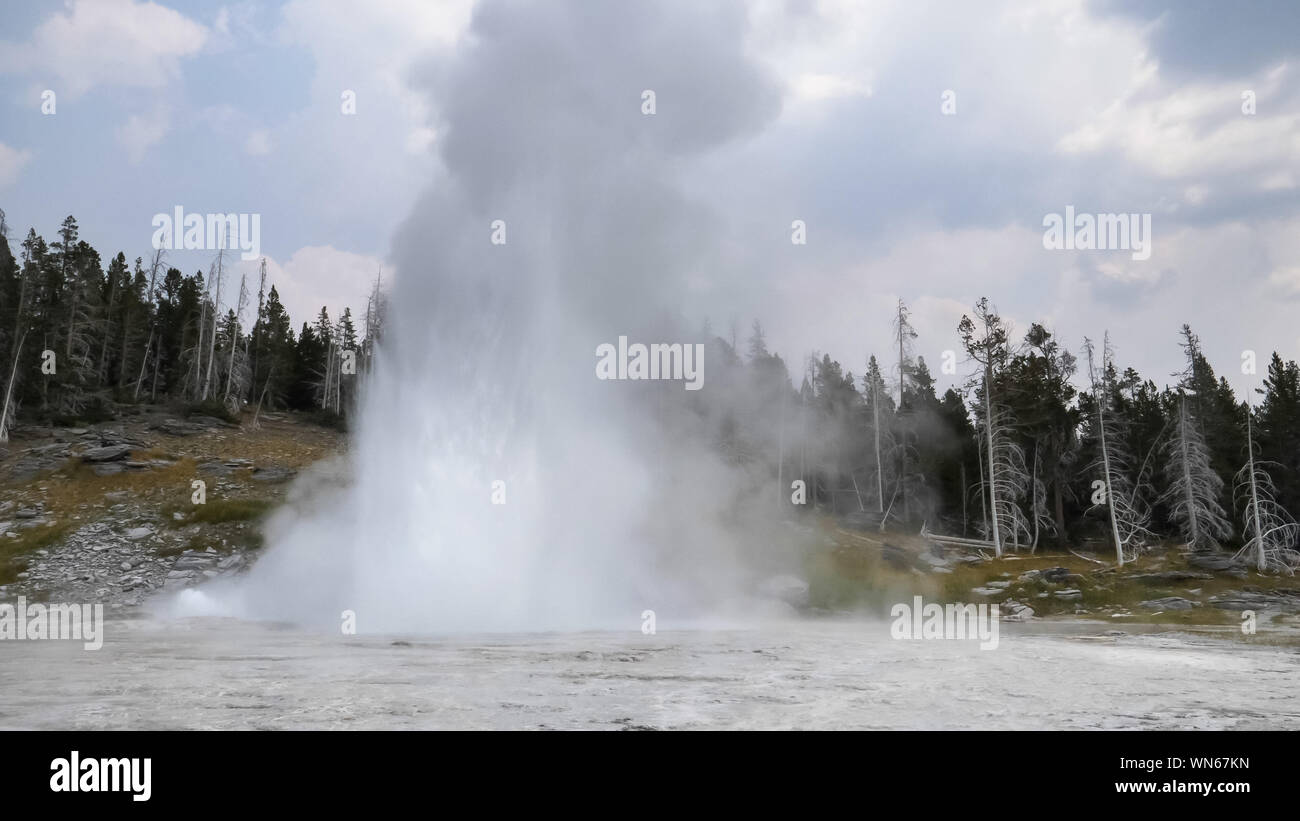 a grand geyser eruption in yellowstone national park, usa Stock Photo ...