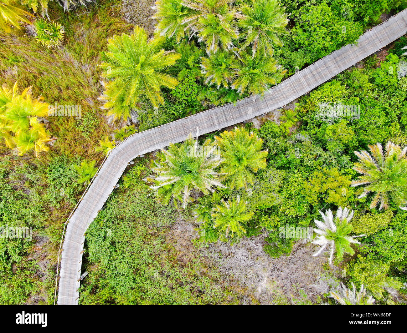 Aerial view of wooded bridge over the tropical forest. Wooden bridge ...