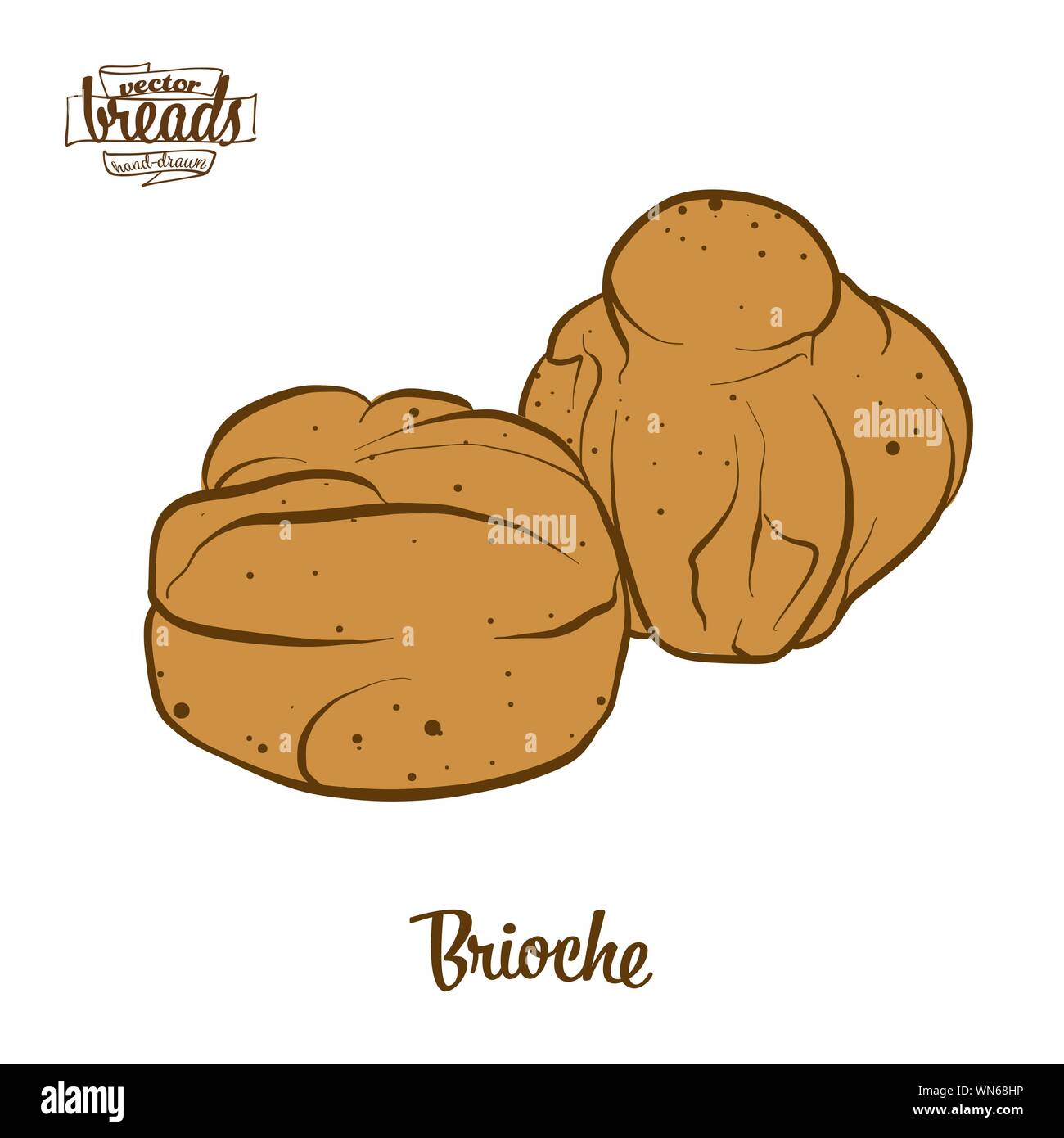 Colored drawing of Brioche bread. Vector illustration of Yeast bread ...