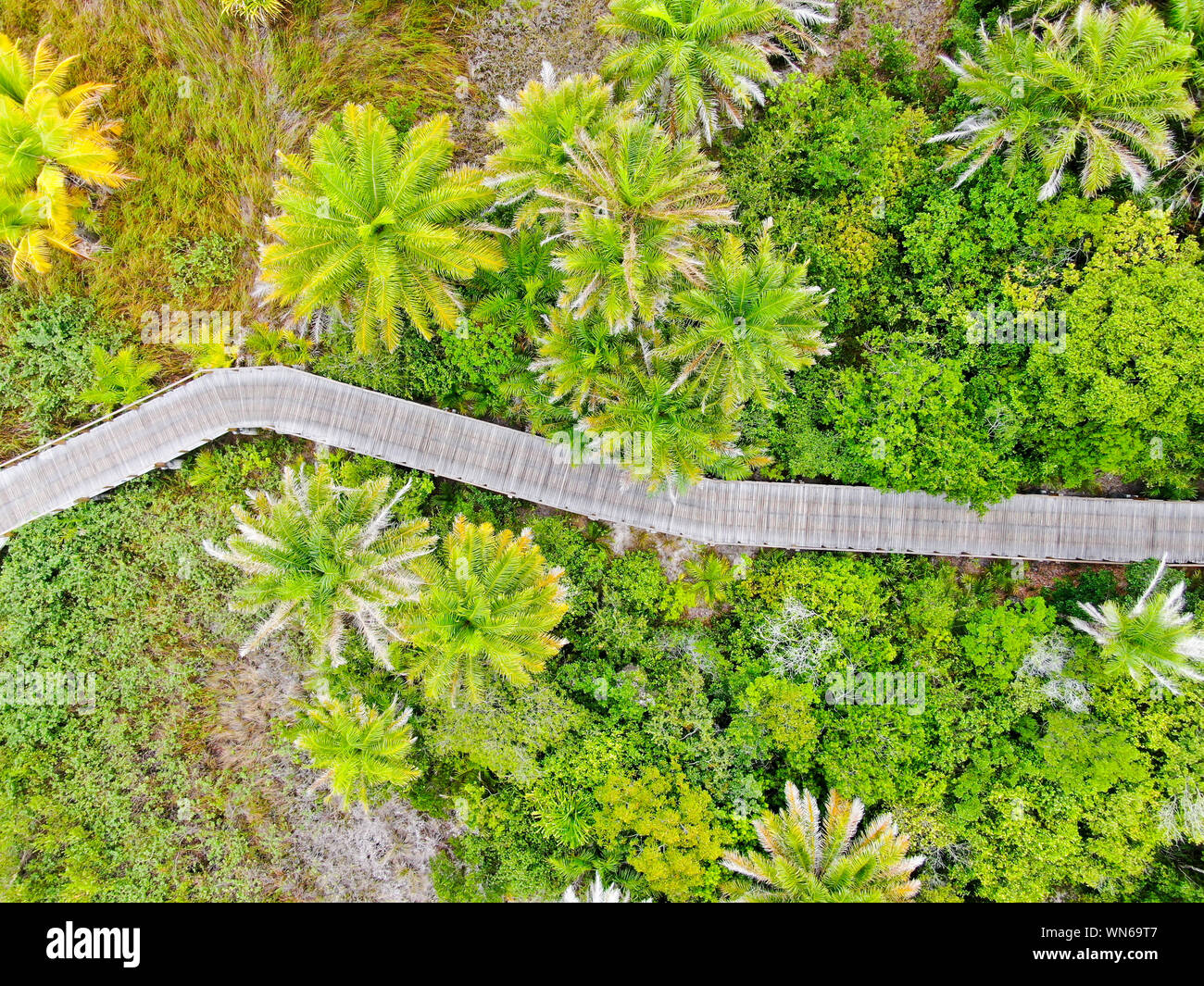 Aerial view of wooded bridge over the tropical forest. Wooden bridge ...