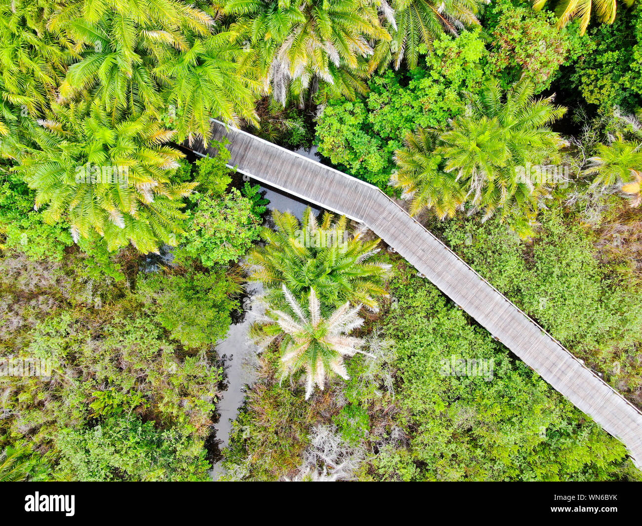 Aerial view of wooded bridge over the tropical forest. Wooden bridge ...