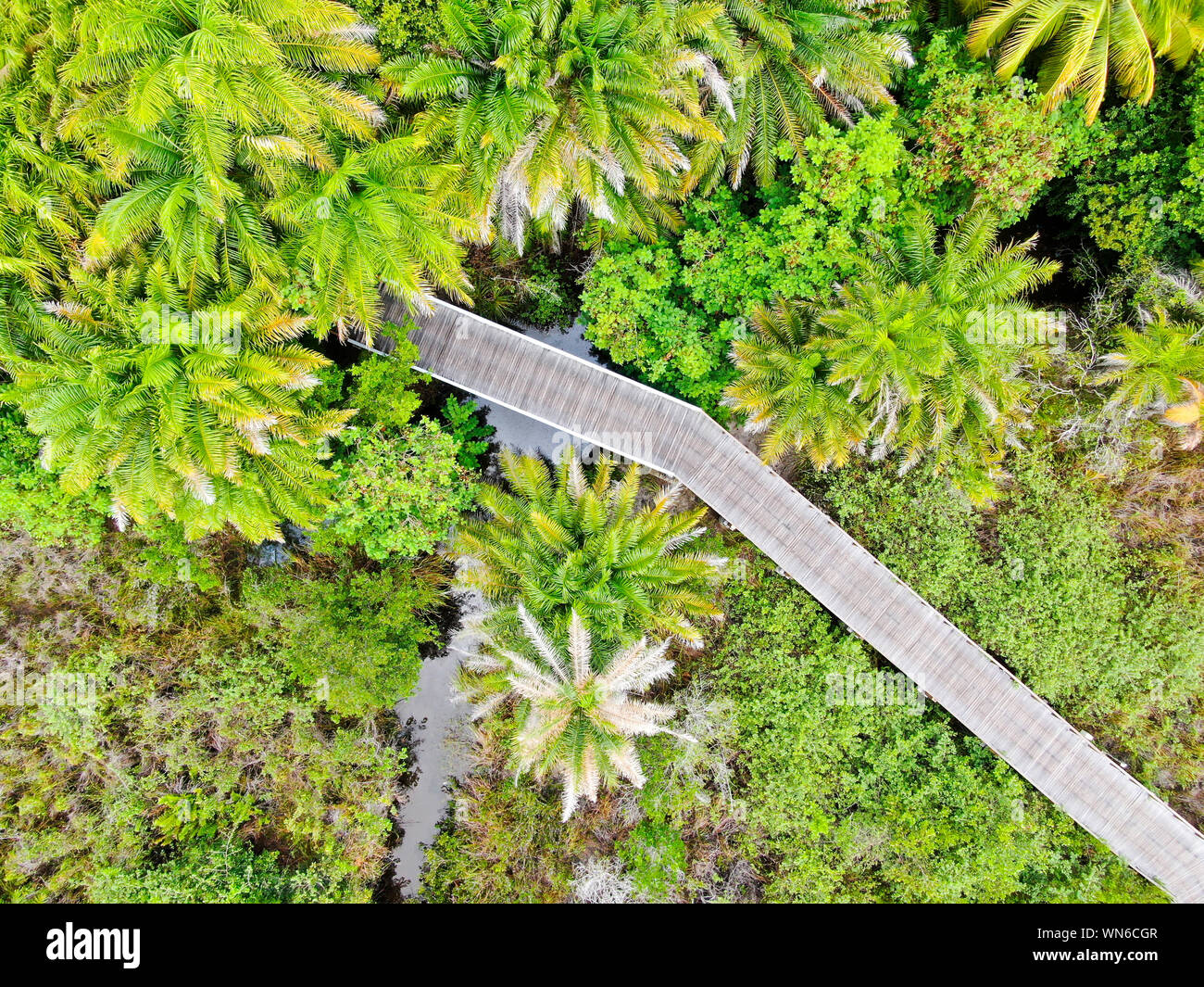 Aerial view of wooded bridge over the tropical forest. Wooden bridge ...