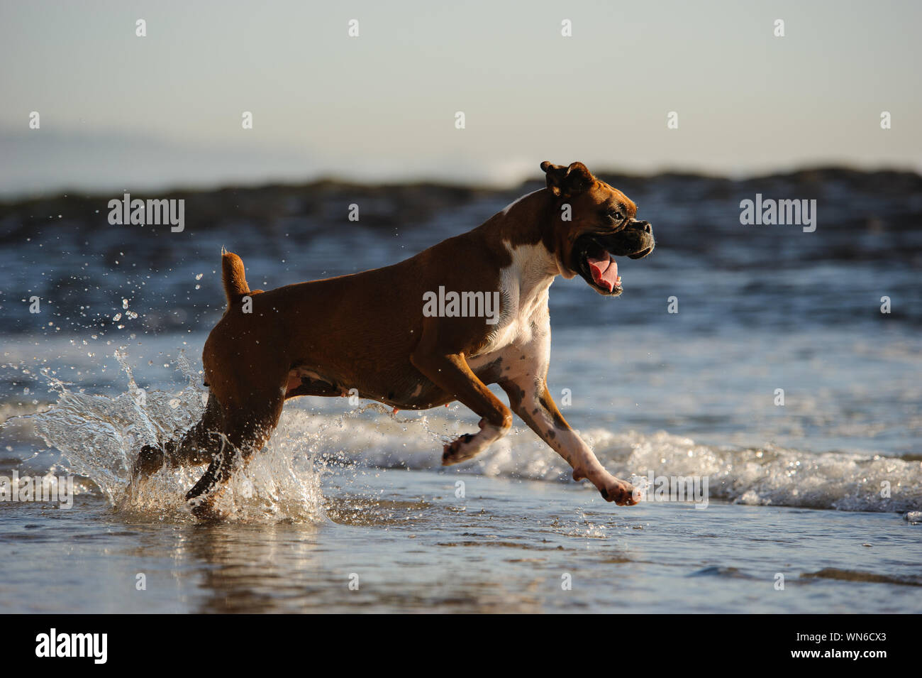 Running sea water hi-res stock photography and images - Alamy