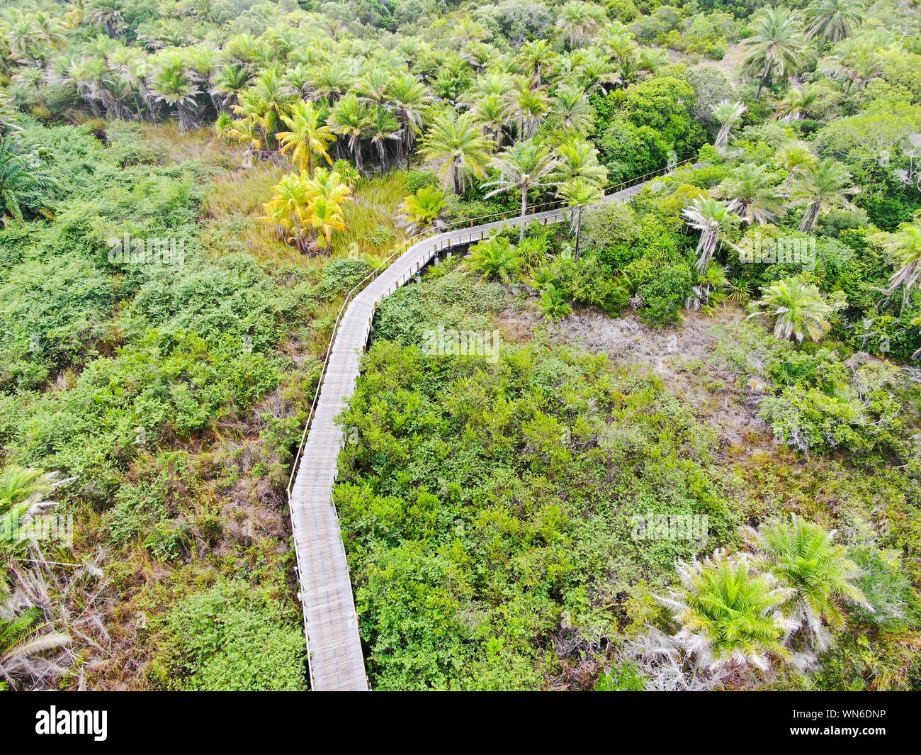 Aerial view of wooded bridge over the tropical forest. Wooden bridge ...