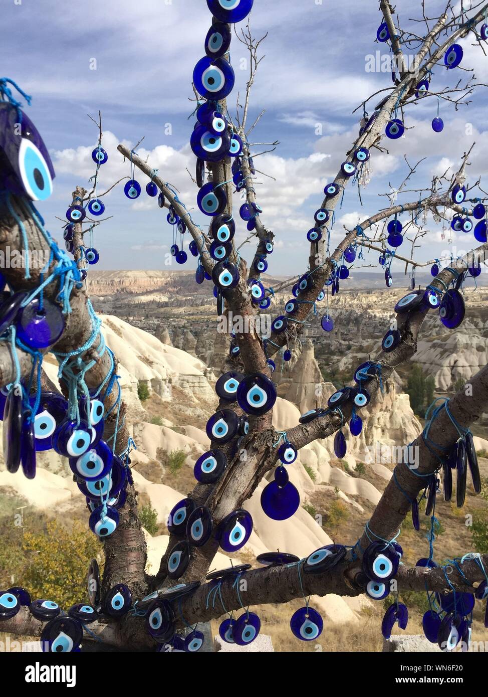 Evil eye tree hi-res stock photography and images - Alamy