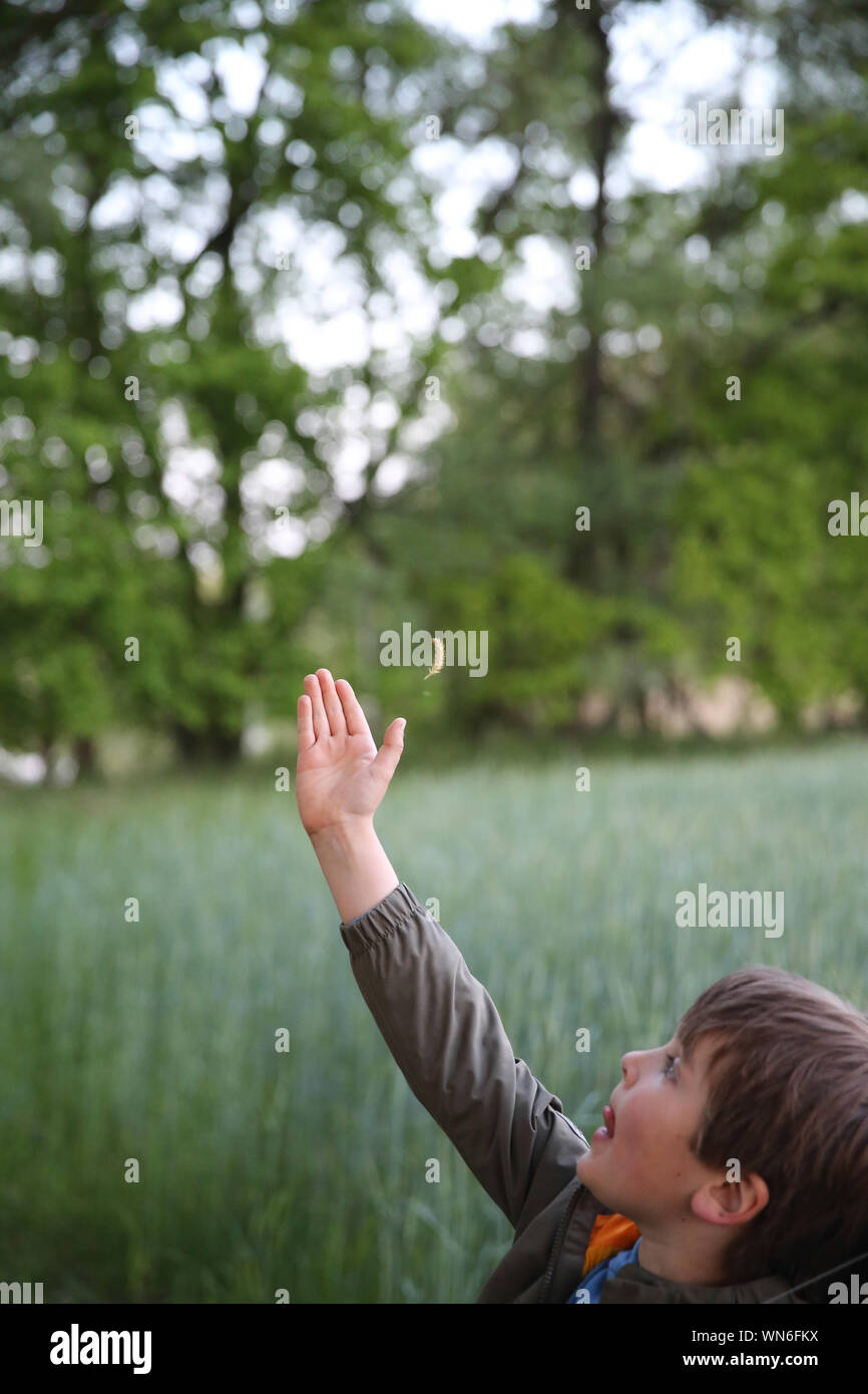 Insect boy hi-res stock photography and images - Alamy
