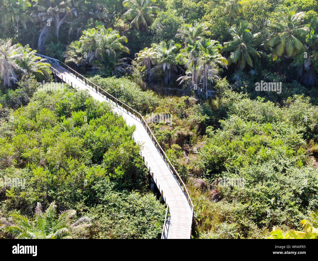 Aerial view of wooded bridge over the tropical forest. Wooden bridge ...