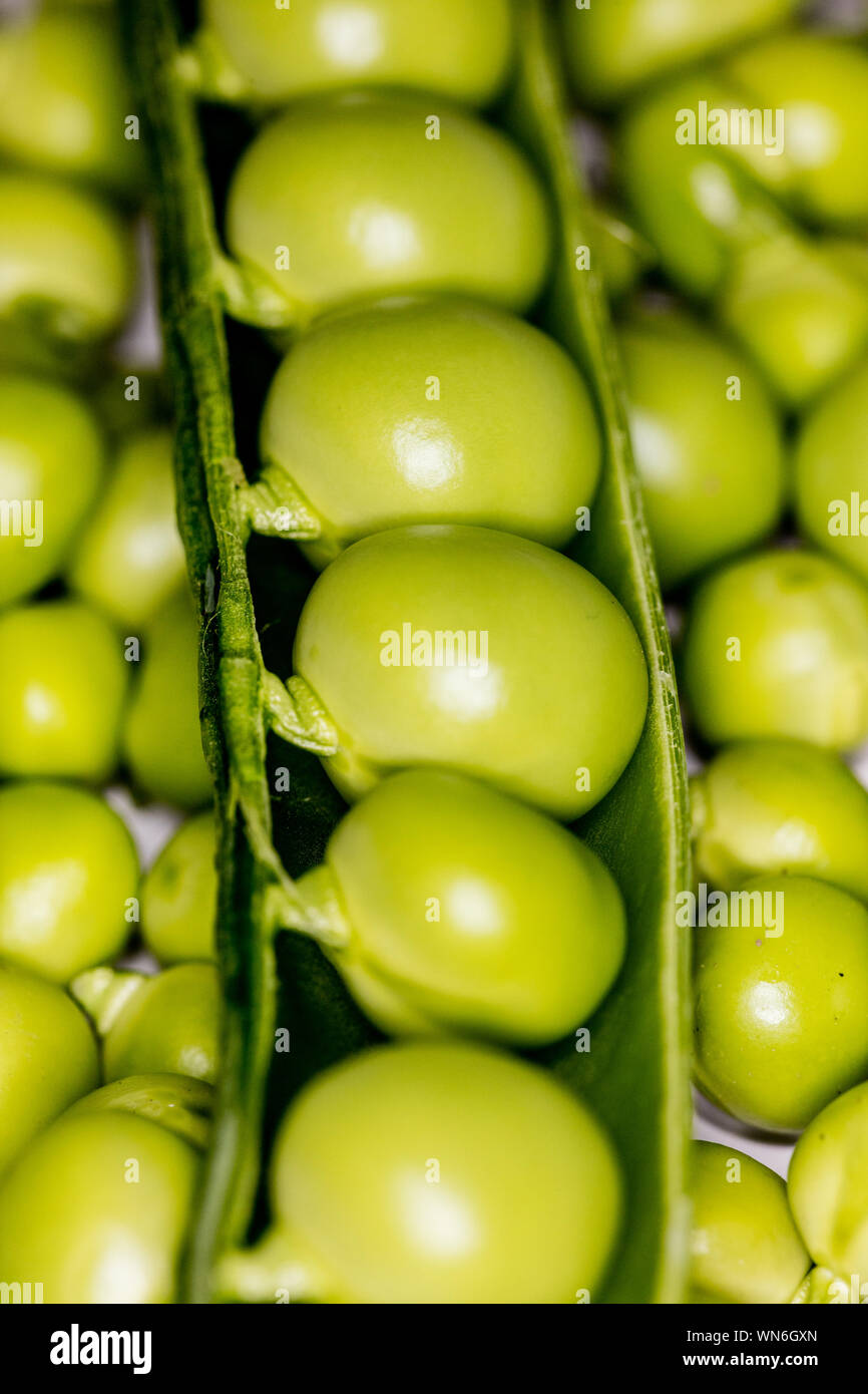 Legume pea family hi-res stock photography and images - Alamy