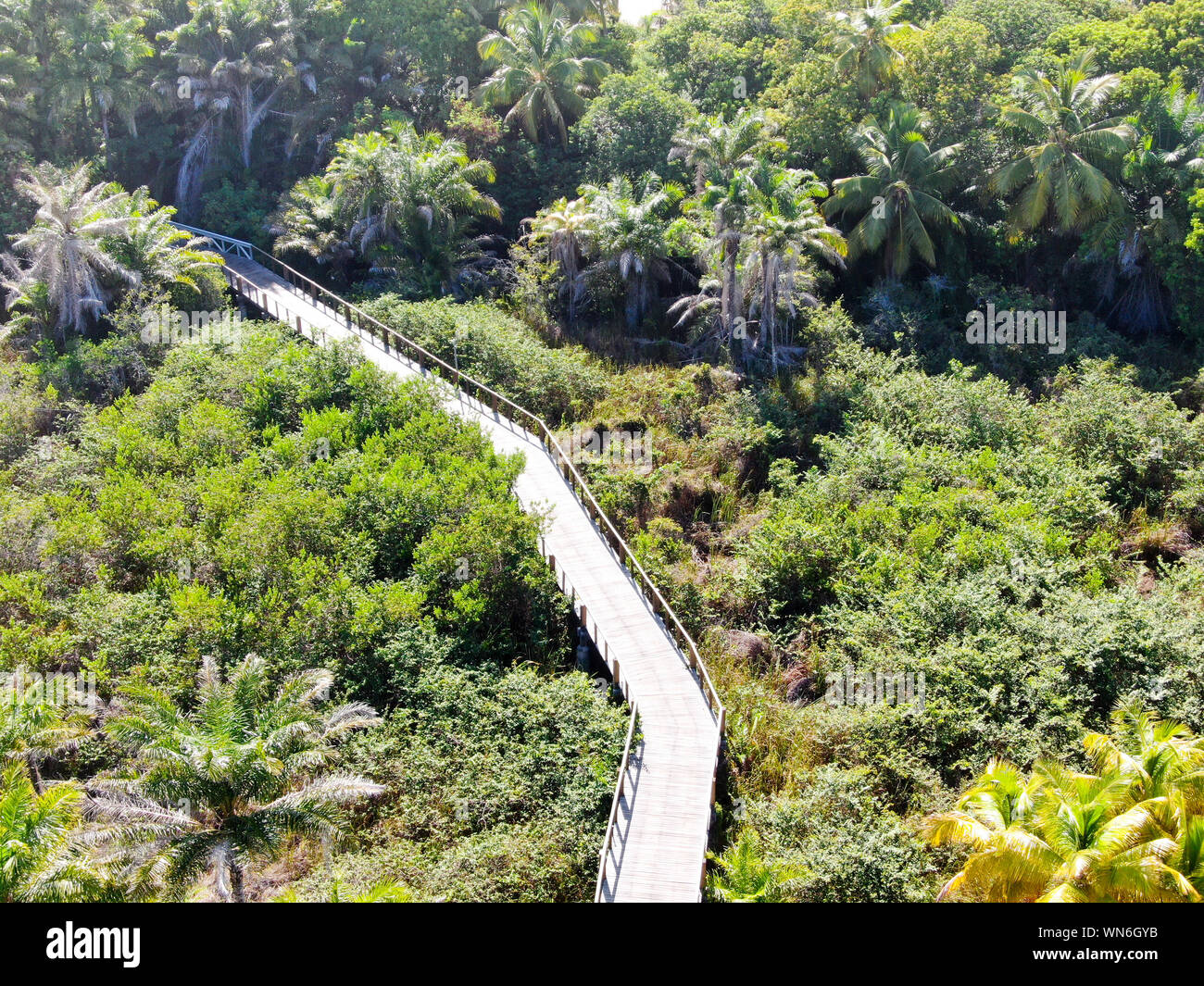 Aerial view of wooded bridge over the tropical forest. Wooden bridge ...