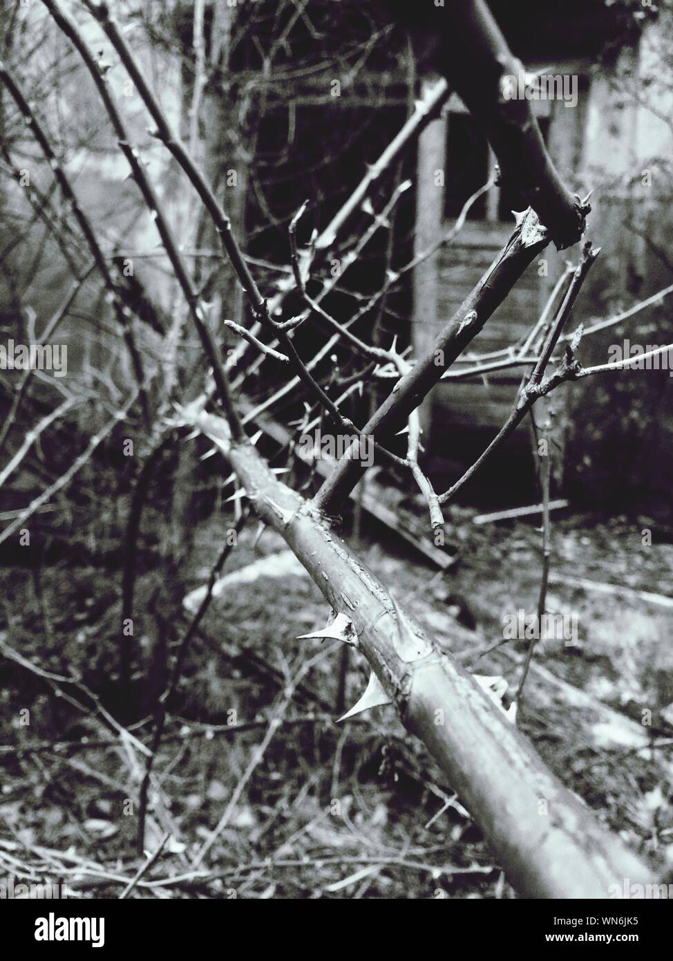 Yard of abandoned hi-res stock photography and images - Alamy