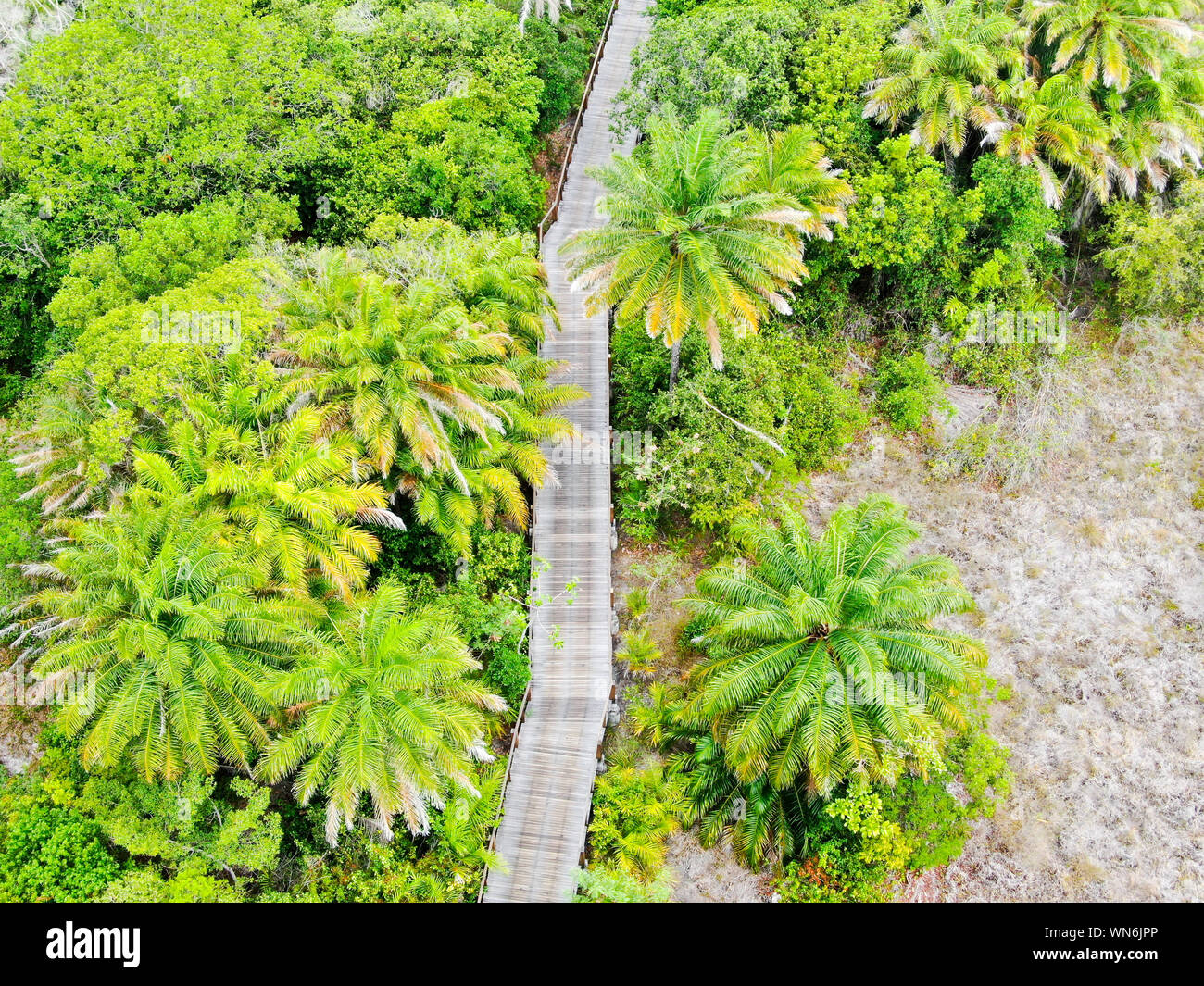 Aerial view of wooded bridge over the tropical forest. Wooden bridge ...