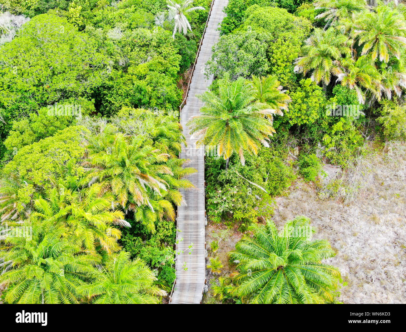 Aerial view of wooded bridge over the tropical forest. Wooden bridge ...
