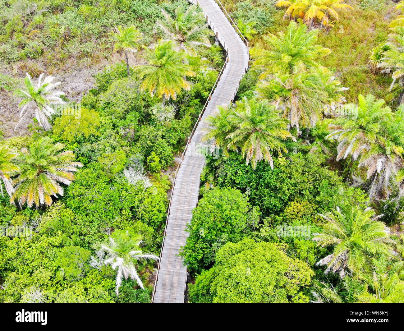Aerial view of wooded bridge over the tropical forest. Wooden bridge ...