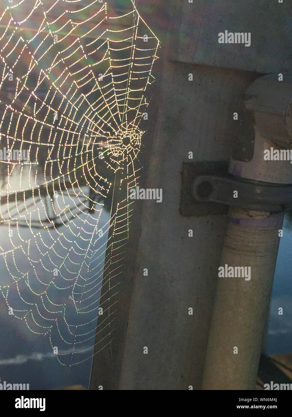 Column spider hi-res stock photography and images - Alamy