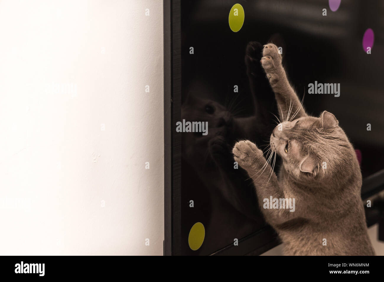 Set up home hi-res stock photography and images - Alamy