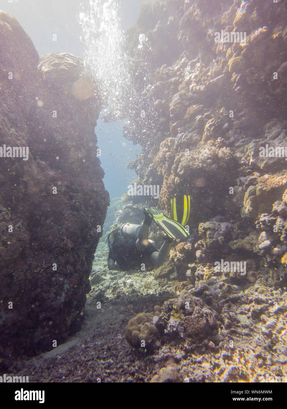 Scuba Diving in the Red Sea Stock Photo - Alamy