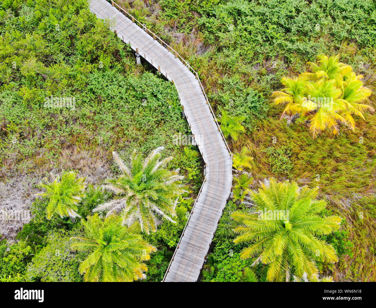 Aerial view of wooded bridge over the tropical forest. Wooden bridge ...