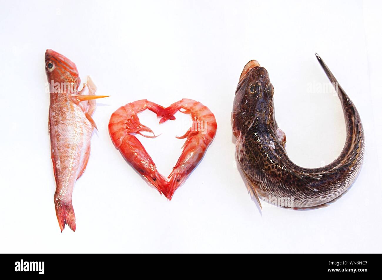 I love fish hi-res stock photography and images - Alamy
