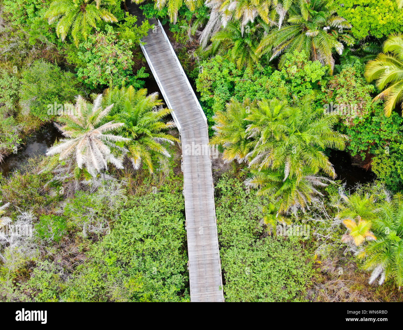 Aerial view of wooded bridge over the tropical forest. Wooden bridge ...