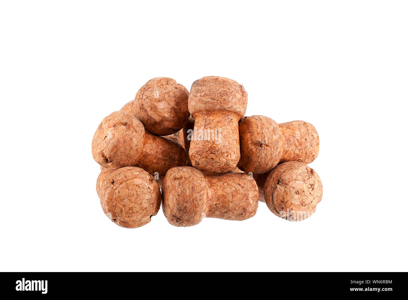 Balsa tree hi-res stock photography and images - Alamy