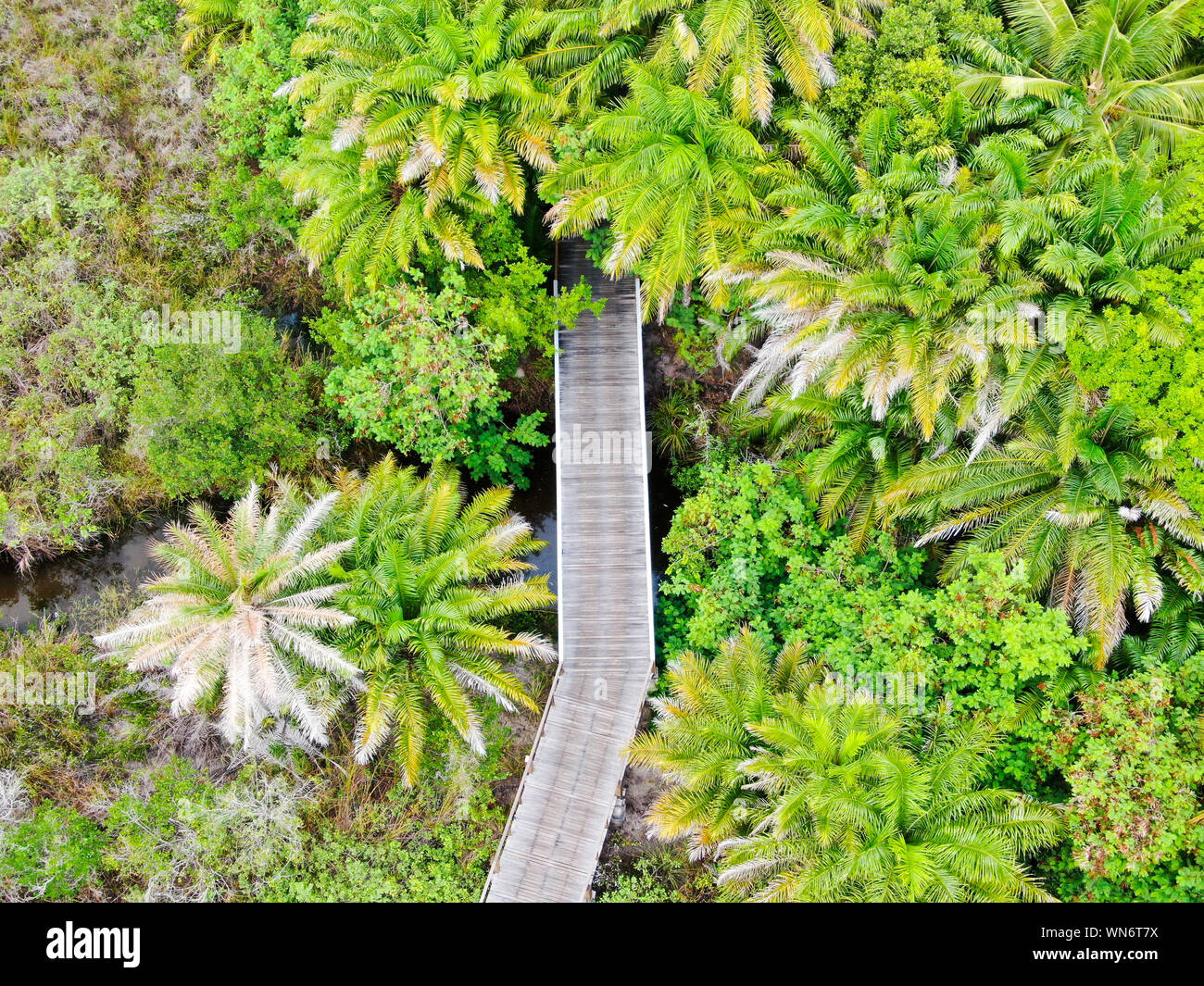 Aerial view of wooded bridge over the tropical forest. Wooden bridge ...