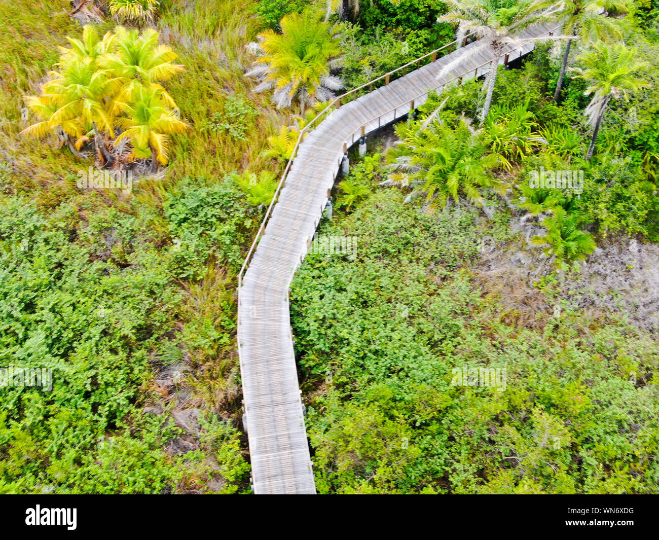Aerial view of wooded bridge over the tropical forest. Wooden bridge ...