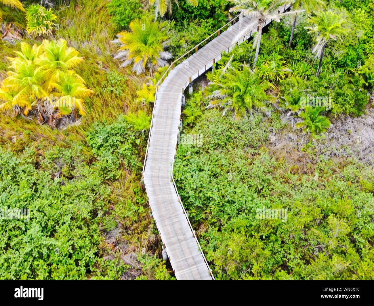 Aerial view of wooded bridge over the tropical forest. Wooden bridge ...