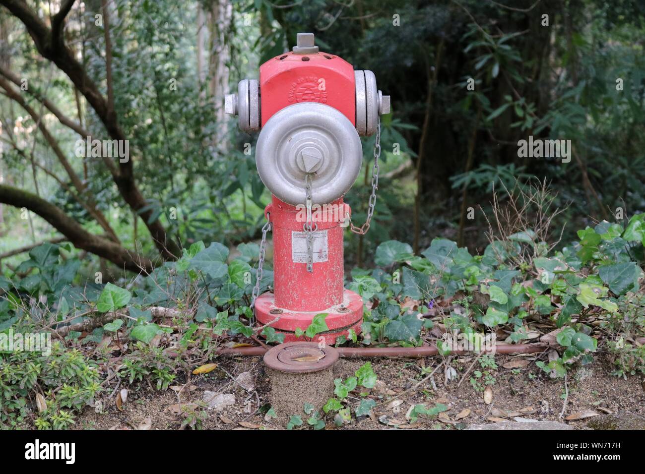Fire hydrant with tree hi-res stock photography and images - Alamy