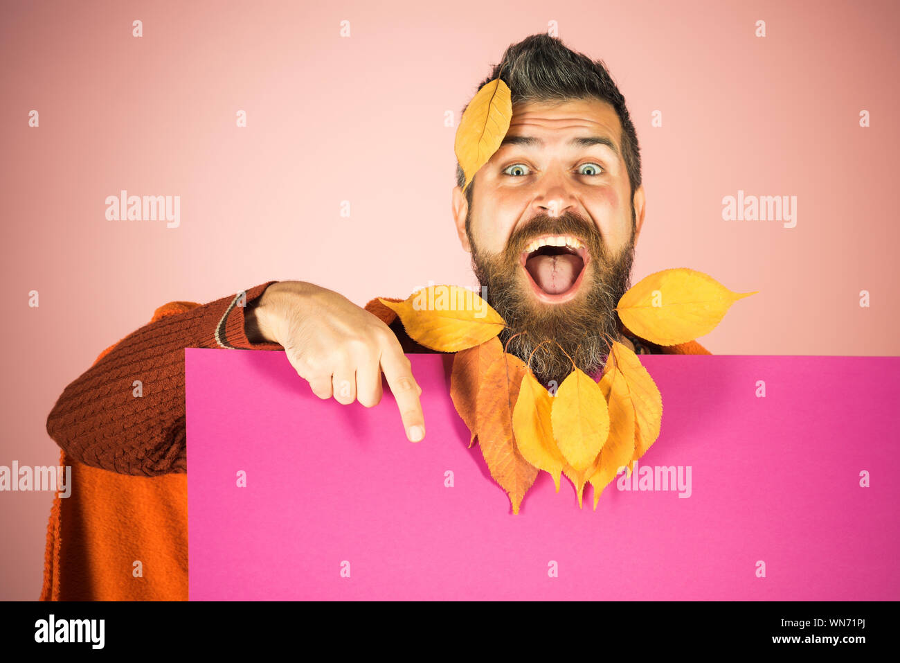 leaves beard at barber and hairdresser Stock Photo - Alamy
