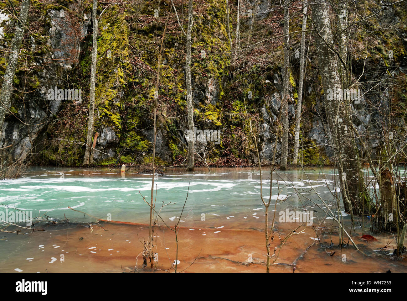 Water forest hi-res stock photography and images - Alamy