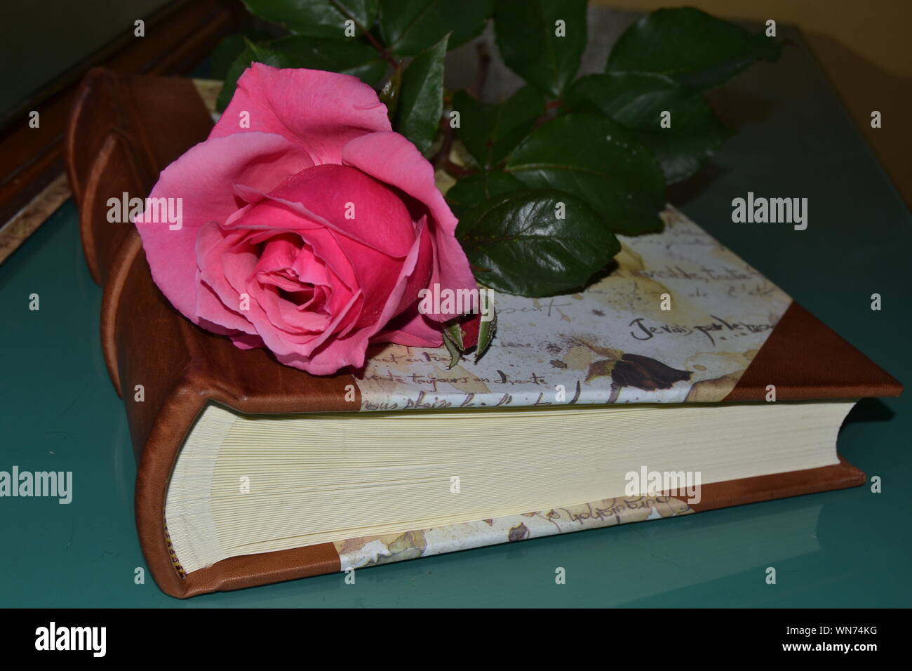 Rose and book hi-res stock photography and images - Alamy