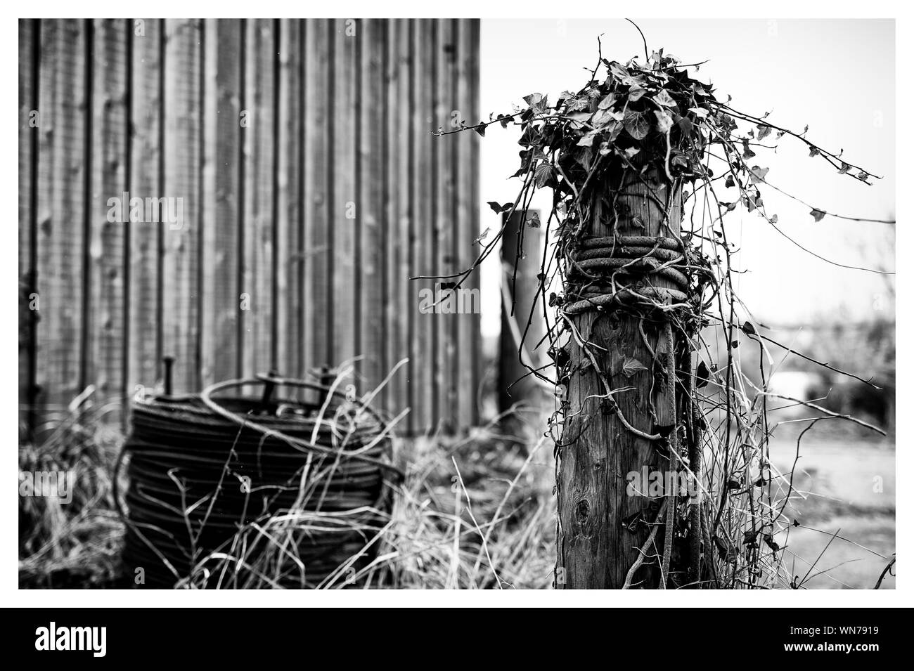 Vine farm hi-res stock photography and images - Alamy