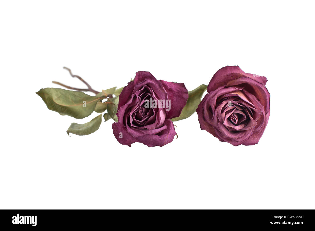 Unusual poster Cut Out Stock Images & Pictures - Alamy