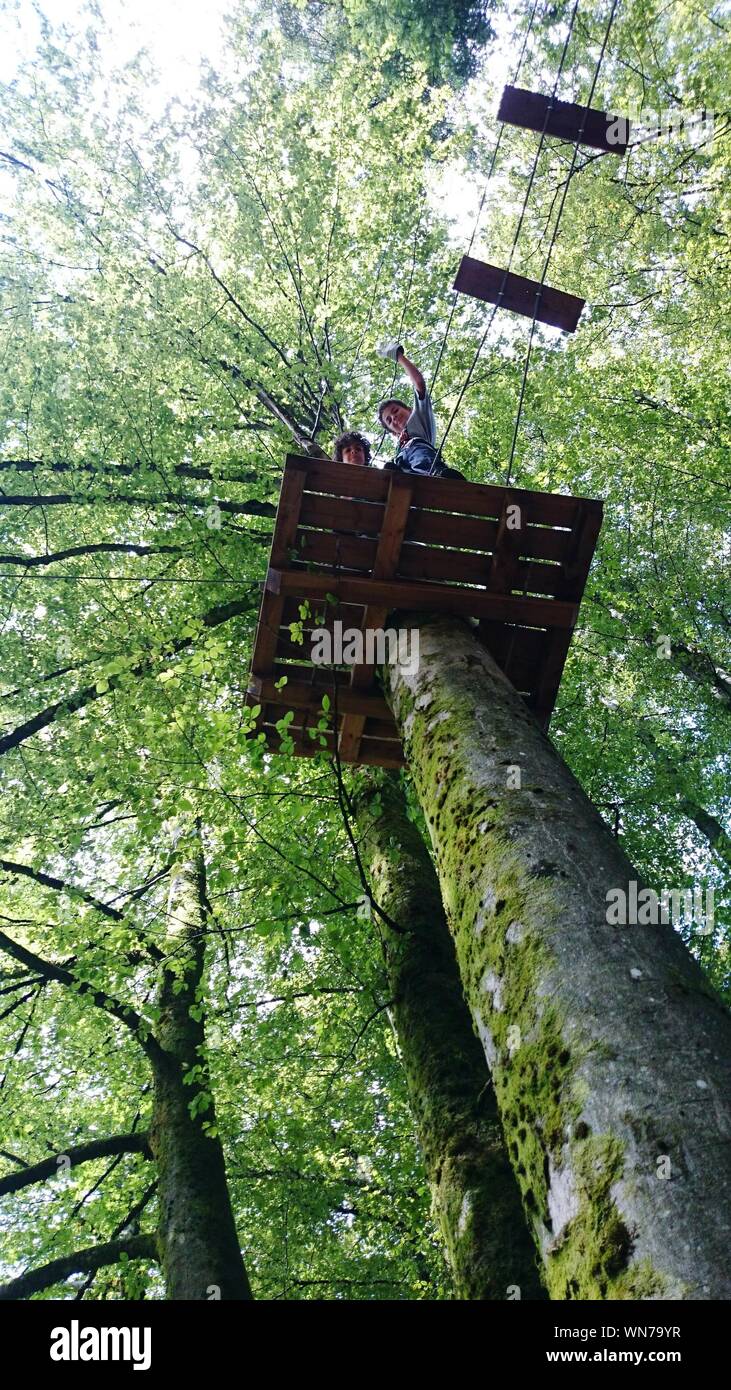 Two boys climbing tree hi-res stock photography and images - Alamy