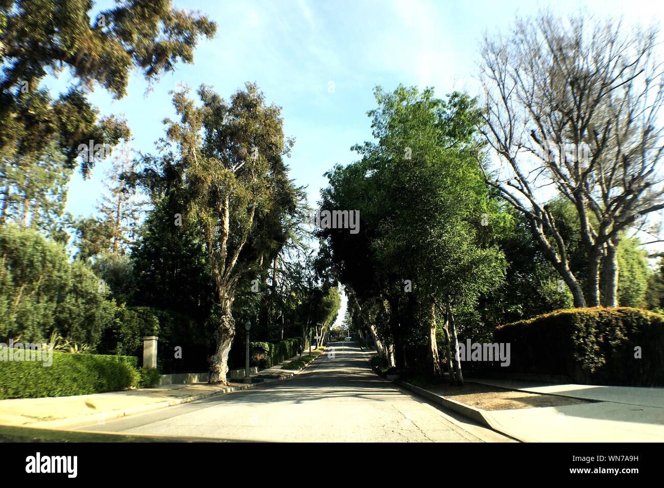 Neighborhood with trees hi-res stock photography and images - Alamy