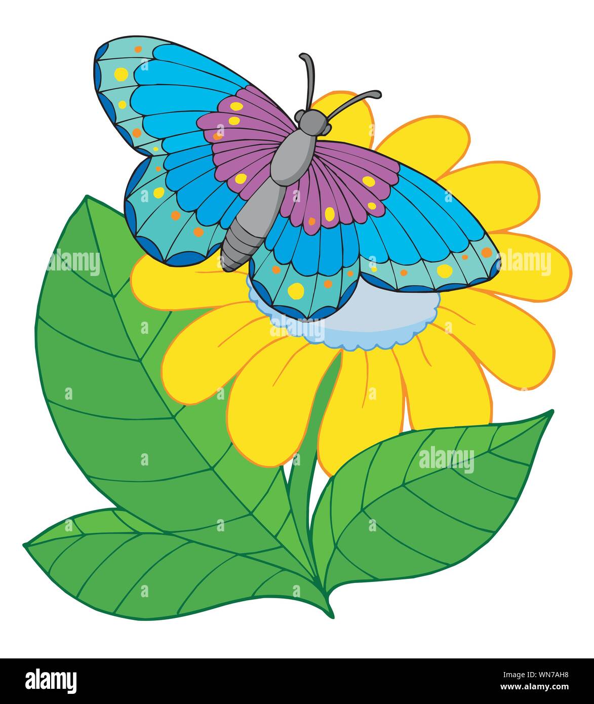 Aerial field flowers Stock Vector Images - Alamy