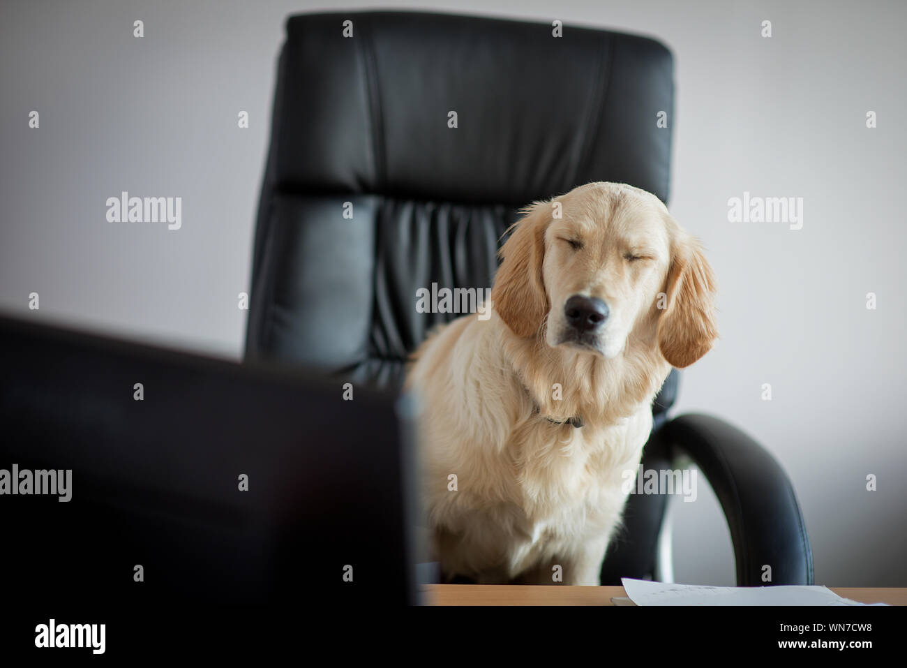 Monitor chair hi-res stock photography and images - Alamy