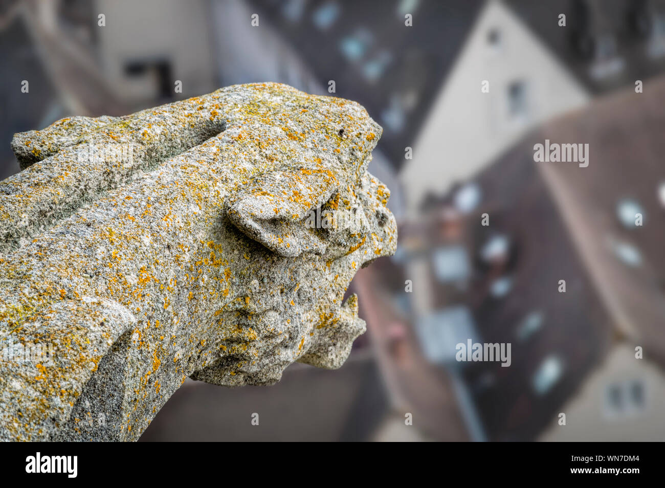 Church Gargoyle High Resolution Stock Photography and Images - Alamy