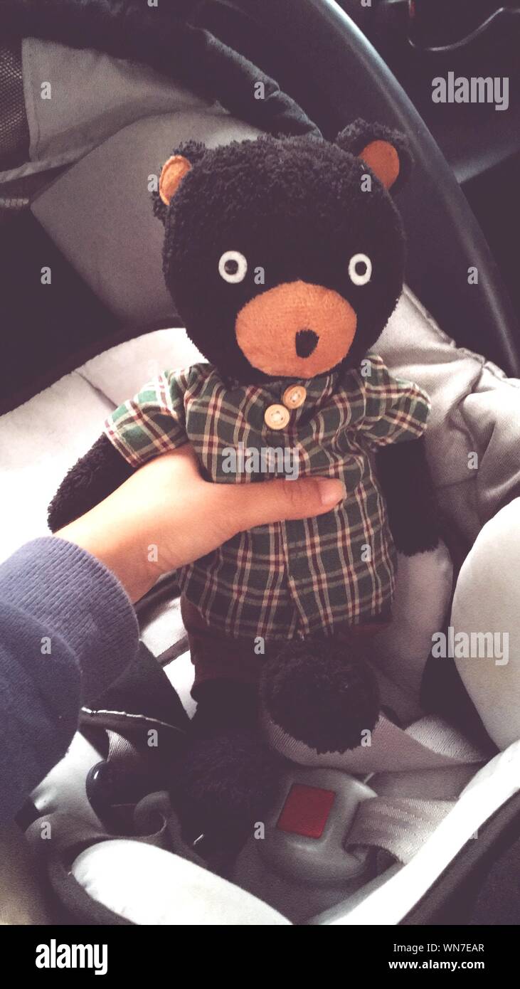 Holding teddy bear hand hi-res stock photography and images - Alamy